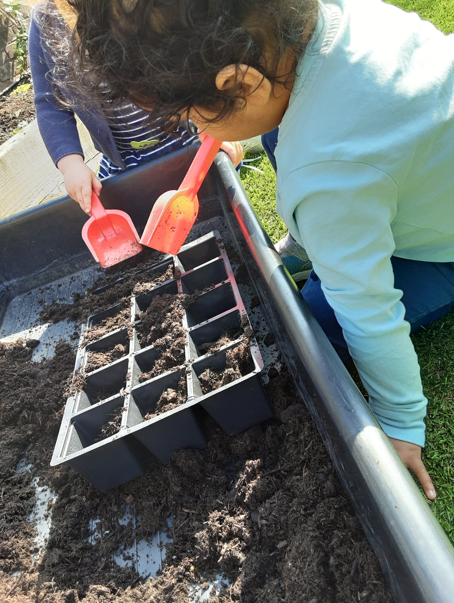 Let's grow! - Ollie Owl Nursery